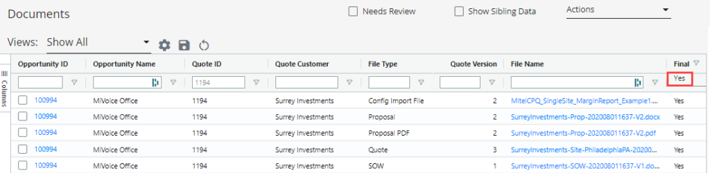 Final_version_DocsView - CorsPro